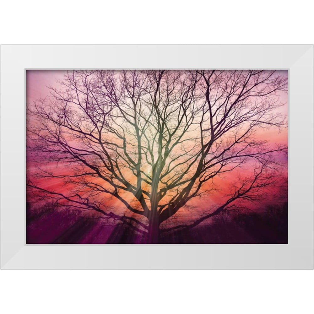 Weisz, Irene 18x13 White Modern Wood Framed Museum Art Print Titled ...