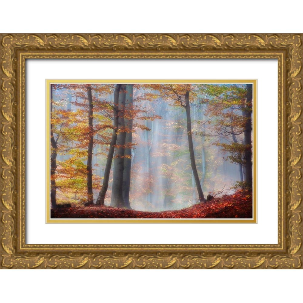 Weisz, Irene 24x17 Gold Ornate Wood Framed with Double Matting Museum ...