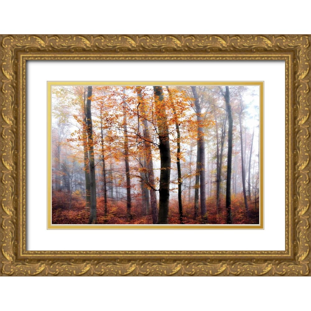 Weisz, Irene 24x17 Gold Ornate Wood Framed with Double Matting Museum ...