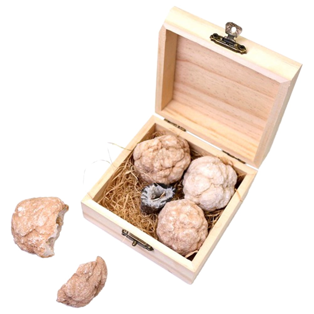 Weiweiguan 1 Box Gem Dig Kit Gem Mining Kit Rock Collection Gemstones ...