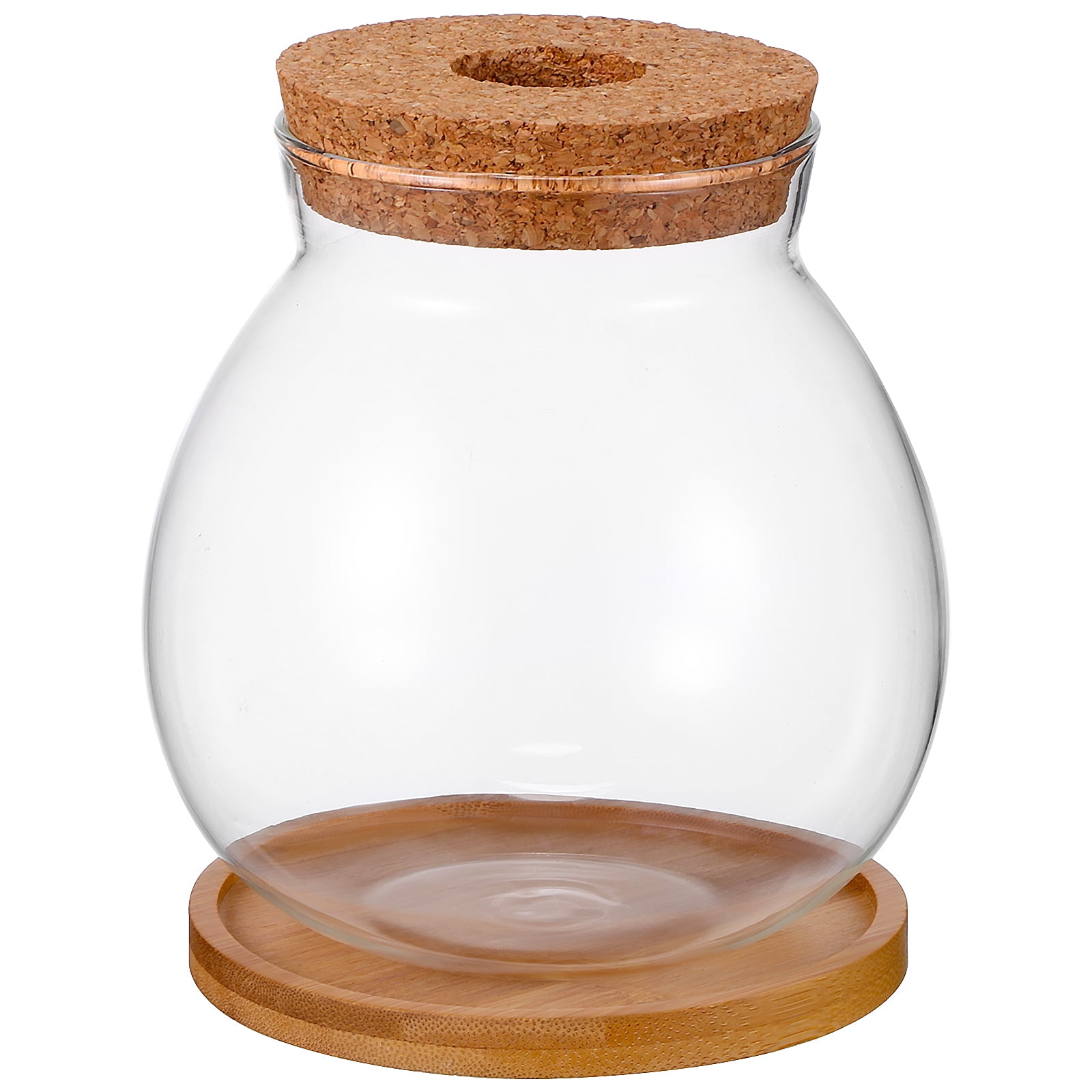 Weiweiguan Small Glass Fish Bowl Betta Tank Terrarium Aquarium for ...