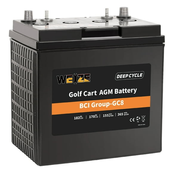 Interstate 6 Volt Golf Cart Battery