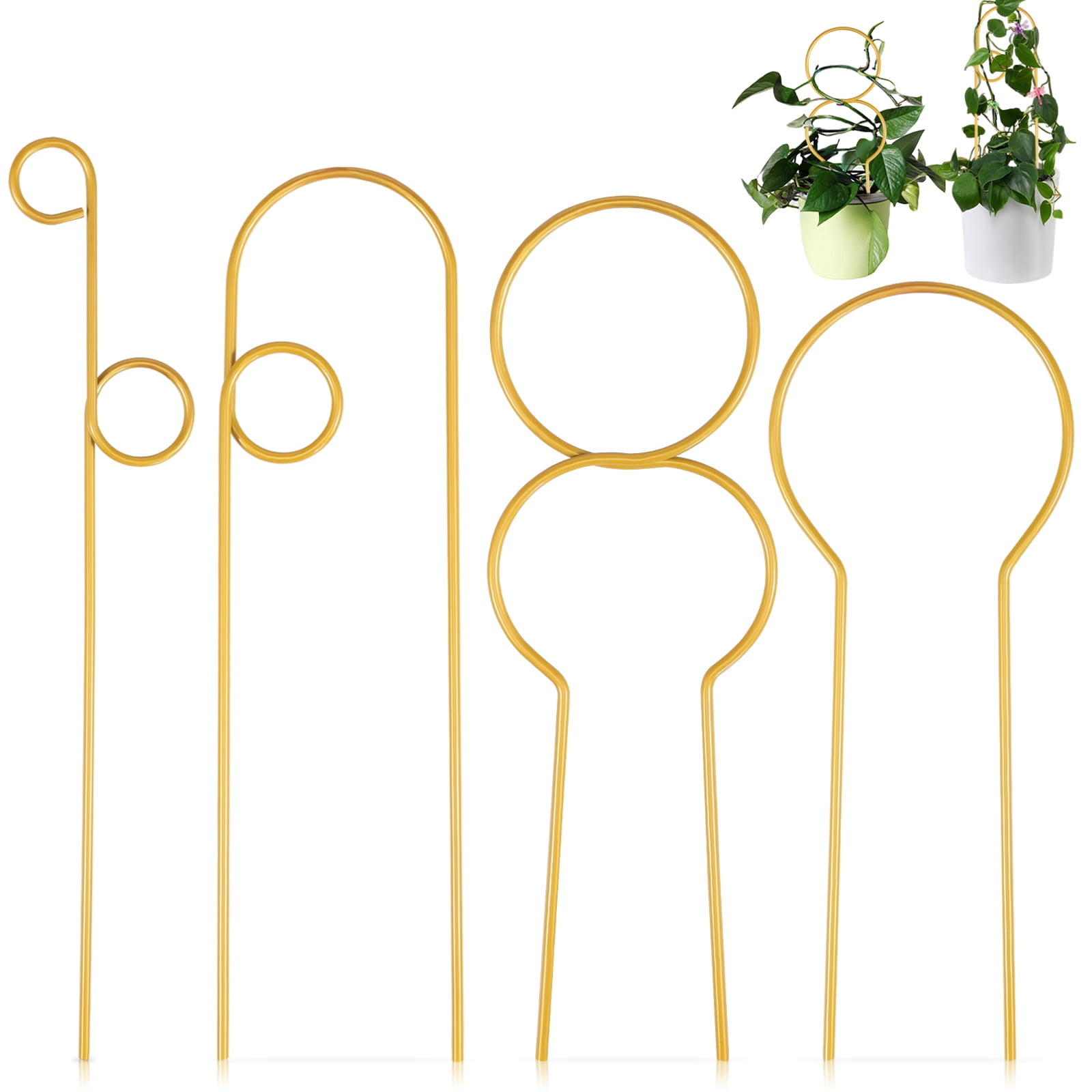 Wekvgz 4pcs Indoor Plants Trellis for Potted Plants Iron Plants Support ...