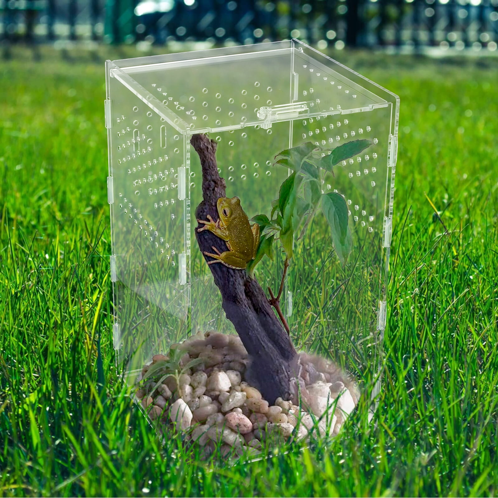 Wekvgz Terrarium Enclosure Acranged Transparent Climbing Pet Feeding ...