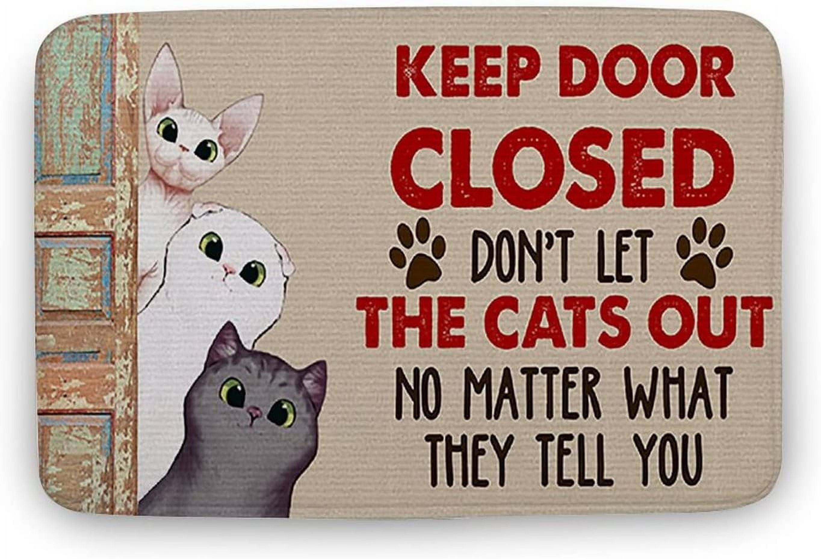Welcome Doormat Keep The Door Close Don't Let The Cat Out Mat Indoor ...