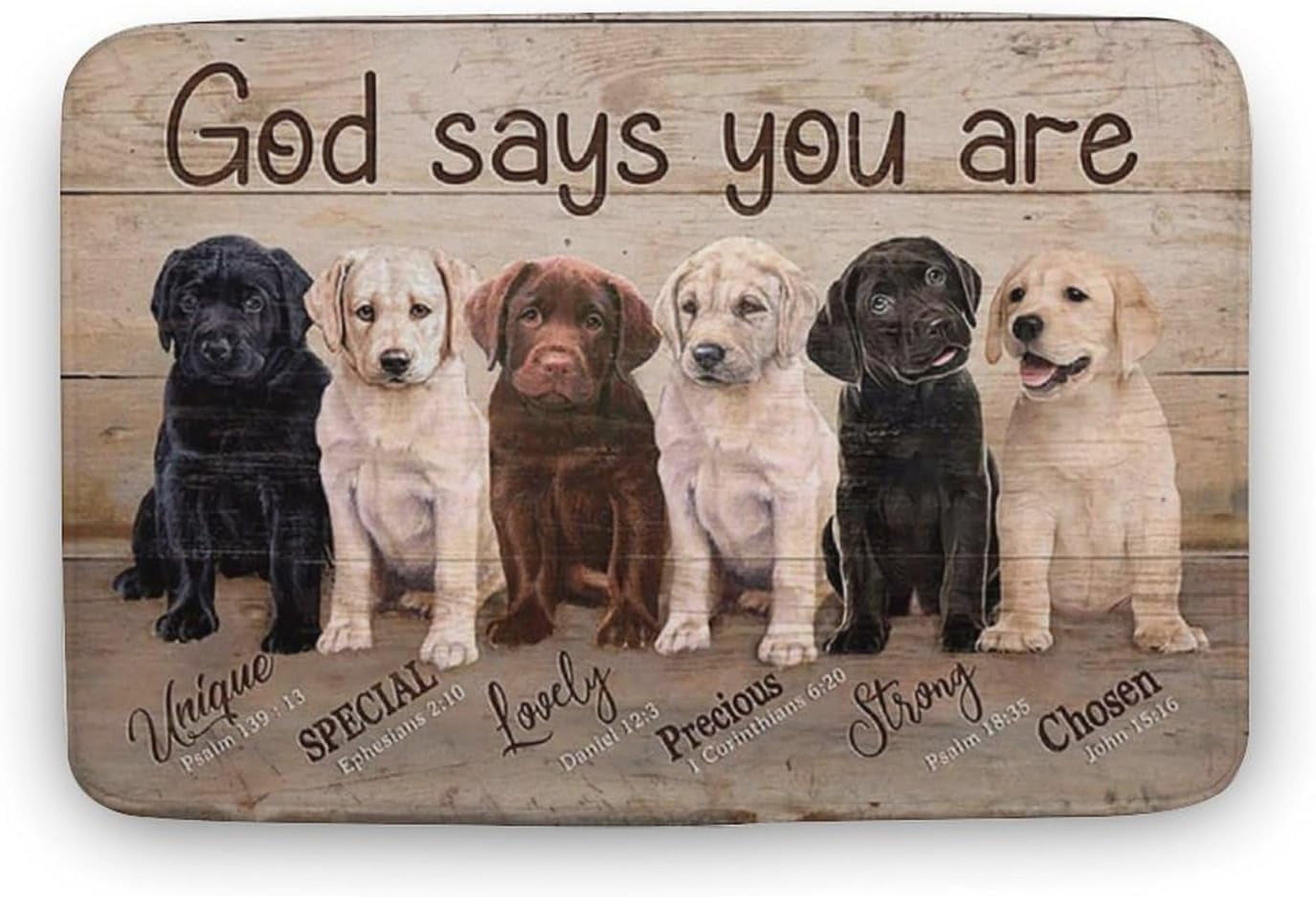 Welcome Doormat Labrador Says You are Dog Funny Entryway Rugs for Home ...