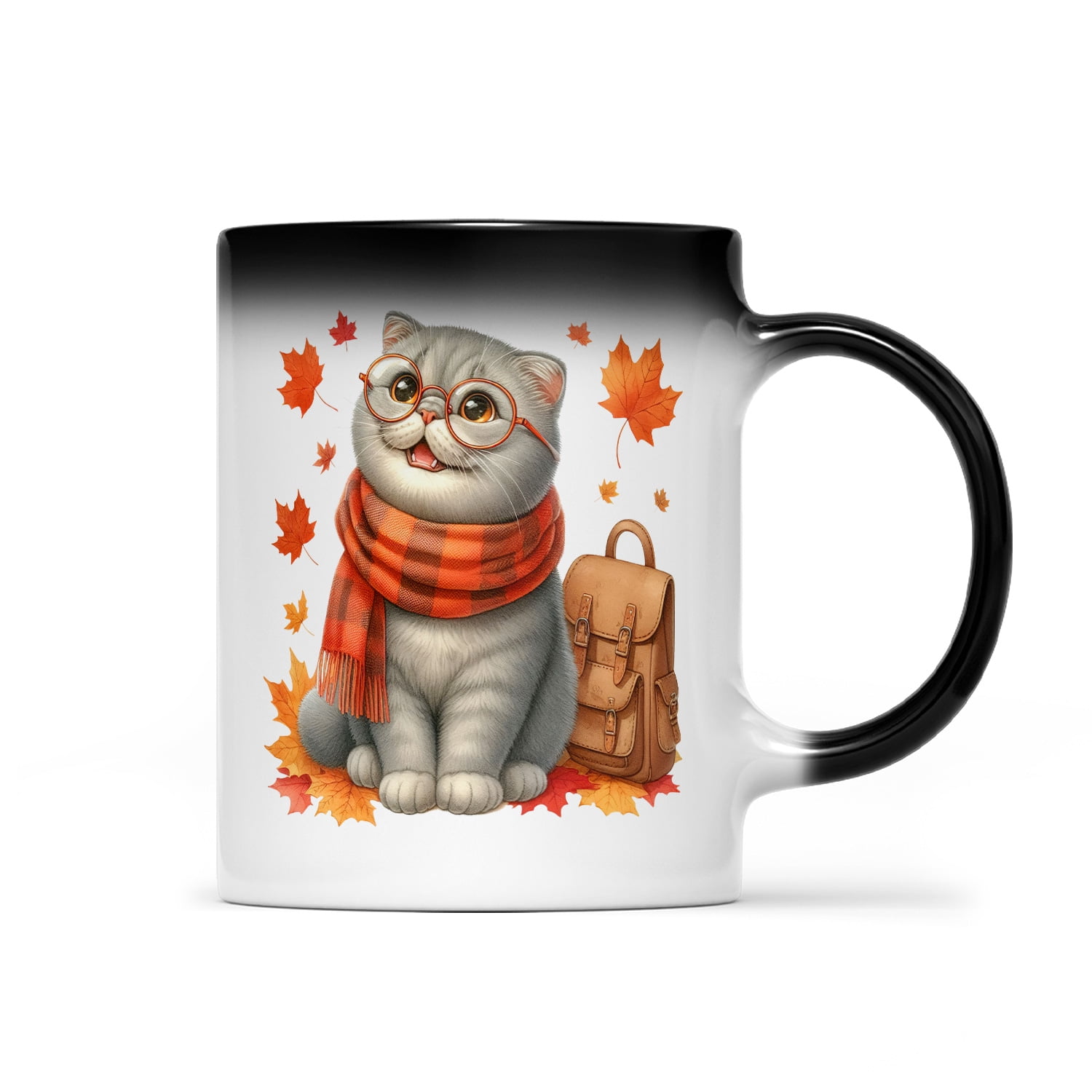 Welcome Fall Scottish Fold Enjoys School Time Autumn Fall Leaves Heat ...