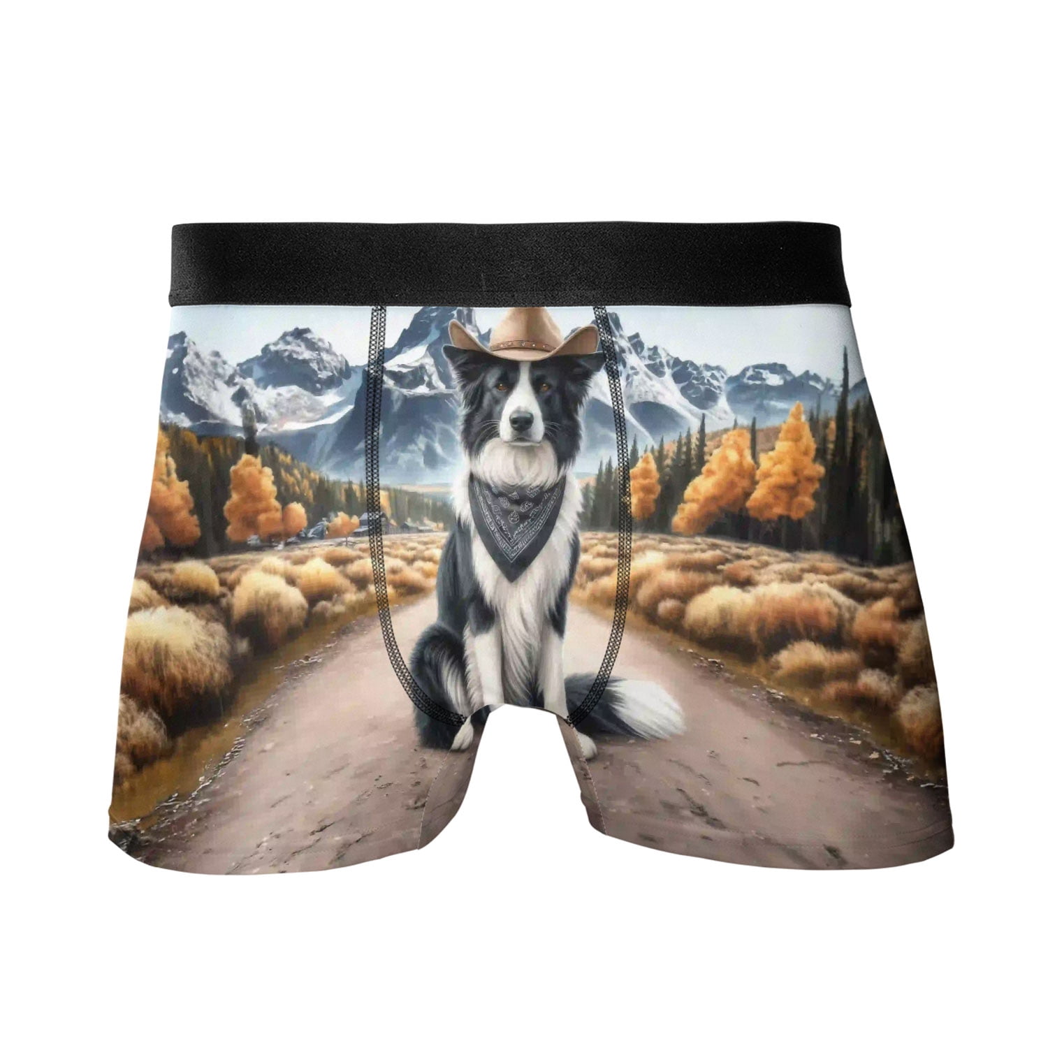 Welcome Fall Western Cowboy Border Collie Enjoys Majestic Autumn All ...