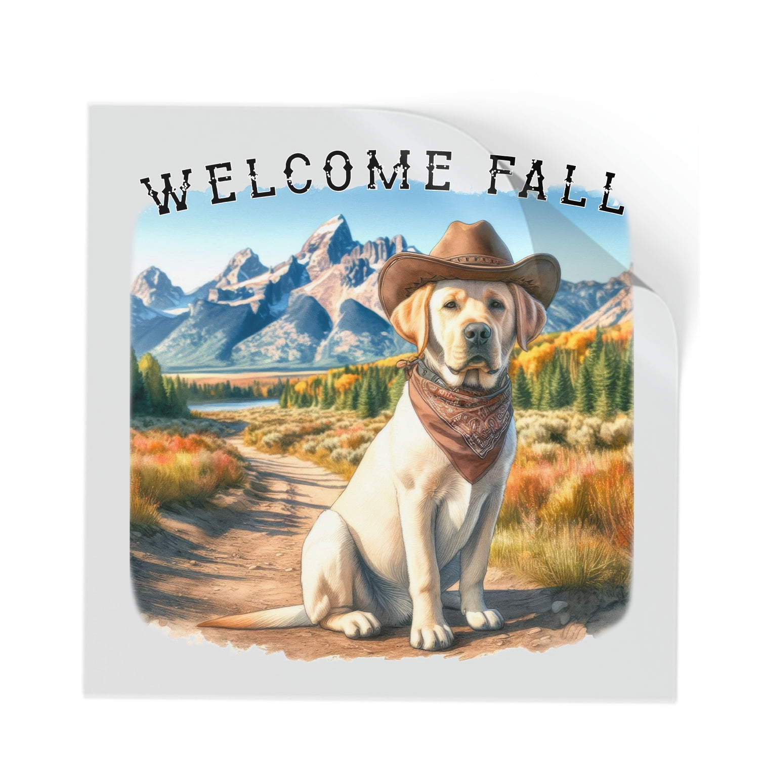Welcome Fall Western Cowboy Labrador Retriever Enjoys Majestic Autumn ...