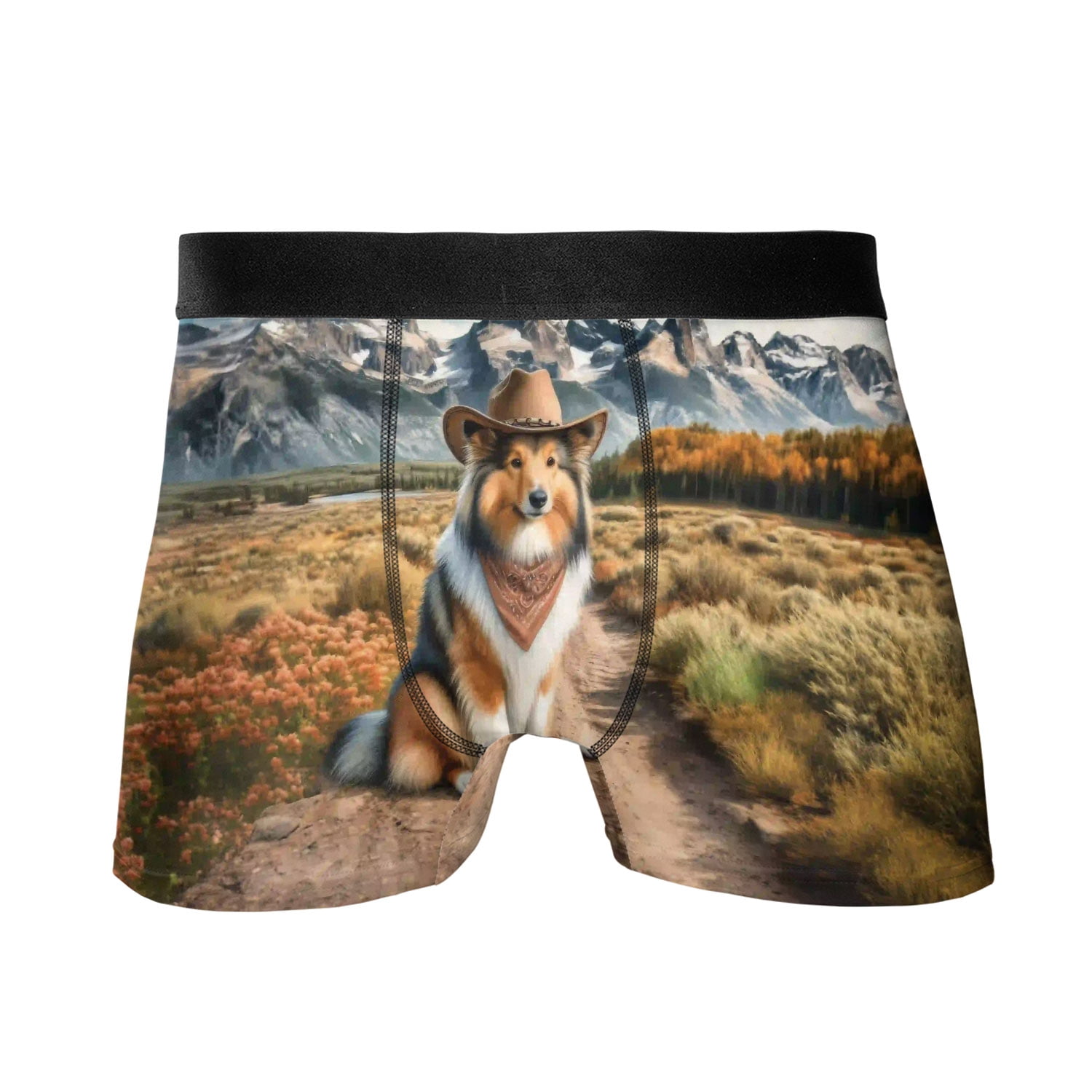Welcome Fall Western Cowboy Shetland Sheepdog Enjoys Majestic Autumn ...