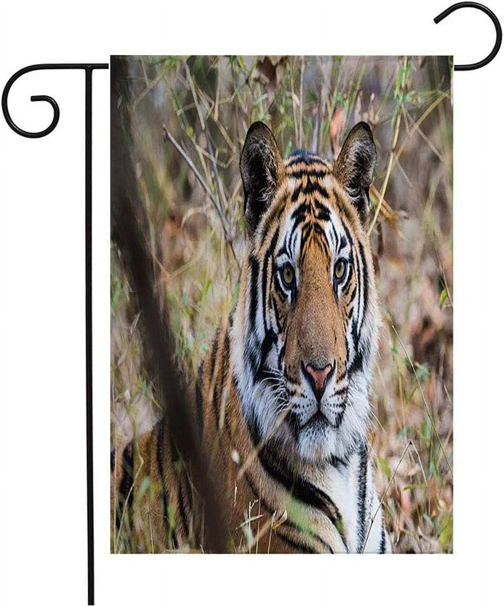 Welcome Garden Flag Angry Feline Carnivore Eyes Indian Predator Bengal ...