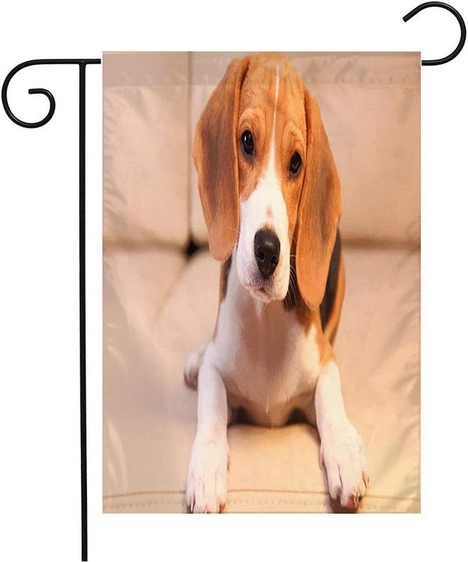 Welcome Garden Flag Cute Female Beagle Puppy On Obedient White Leather ...