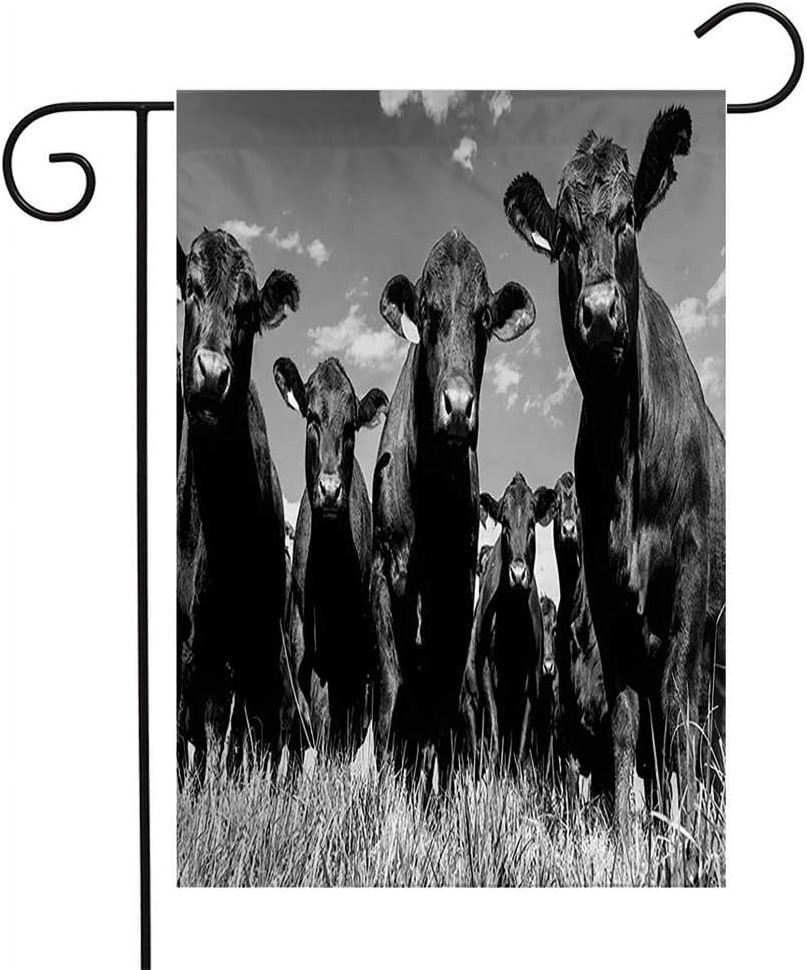 Welcome Garden Flag with POV Black Angus Low Bull Heifers Field ...