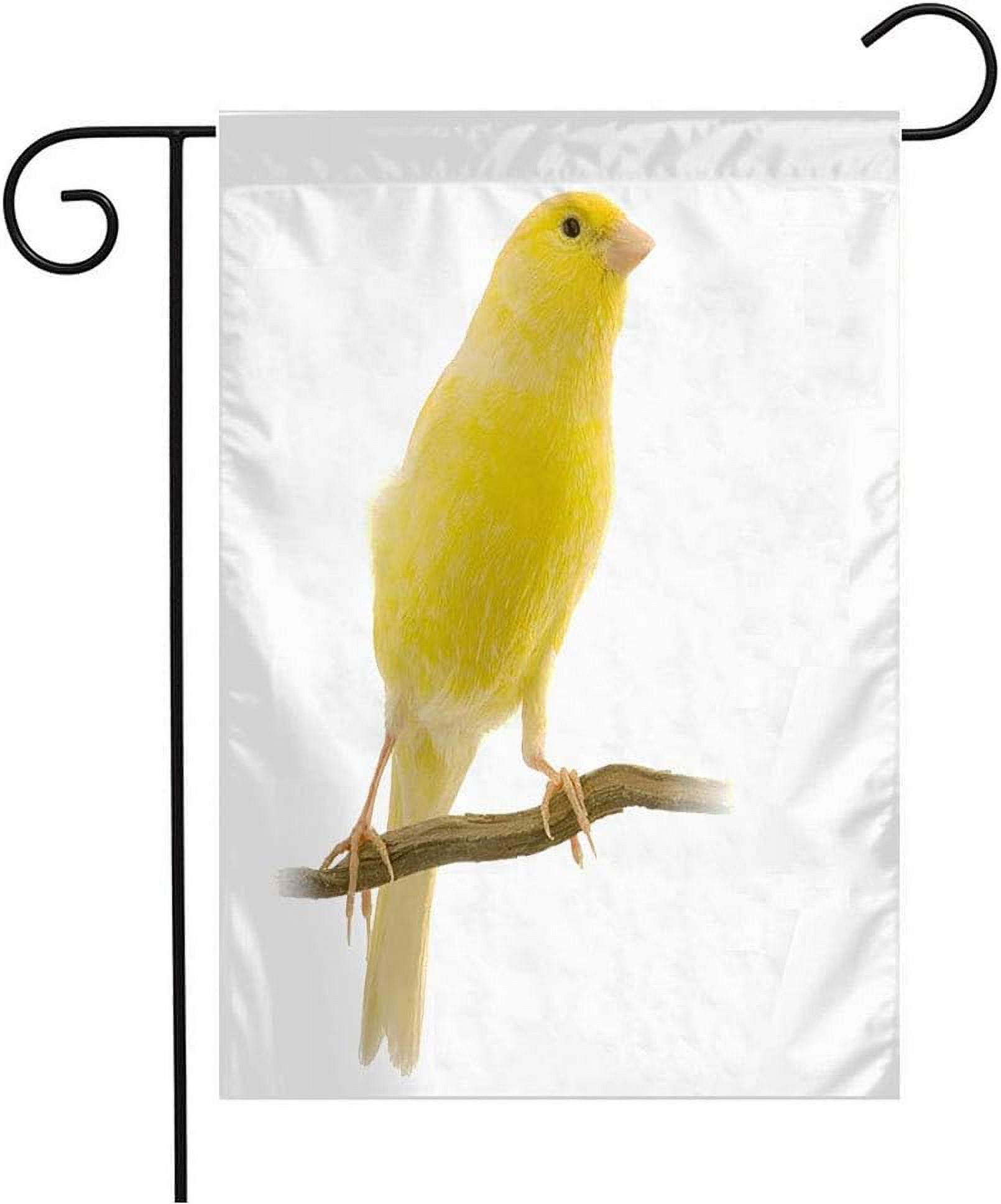 Welcome Garden Flag Vertical Eye Yellow Shot Canary Its Beak Head ...
