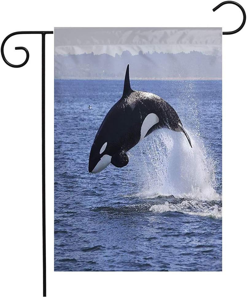 Welcome Garden Flag Vertical Killer Whale Animal Orcinus Orca Wild ...