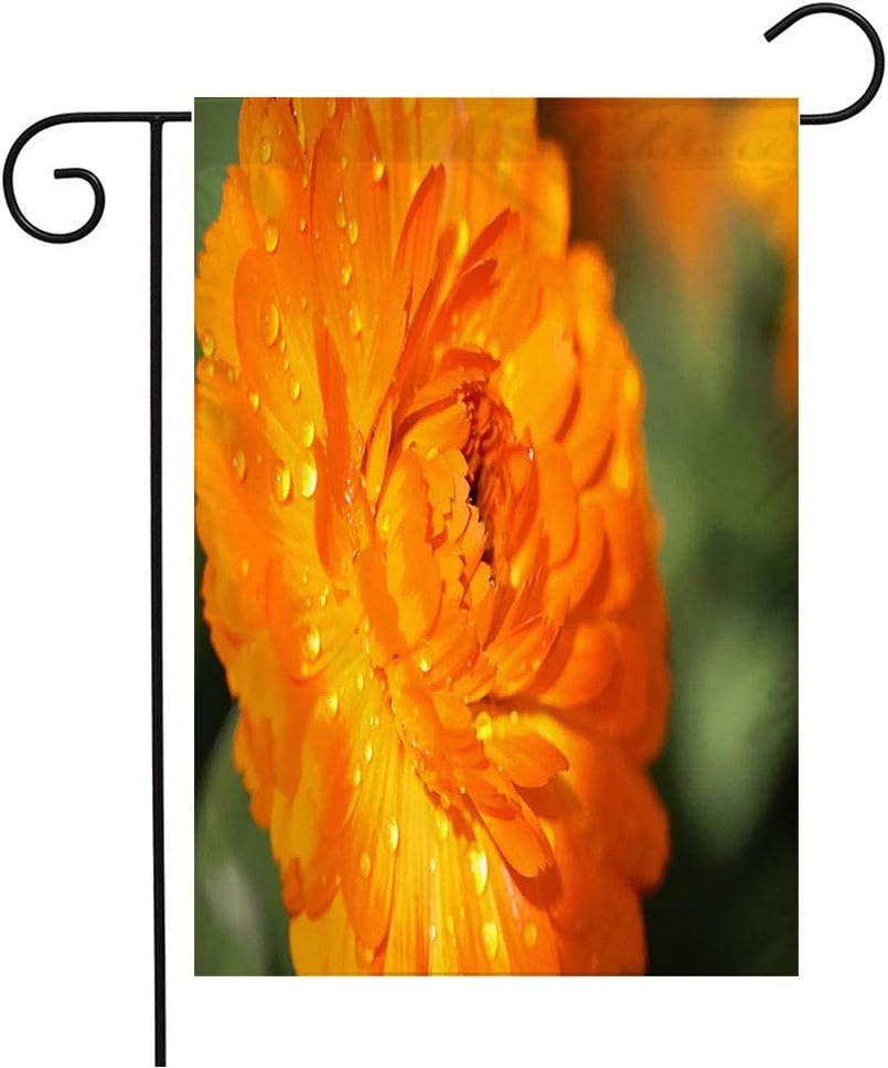 Welcome Garden Flag Vertical Oil Disease Closeup Nature Medicinal Plant ...