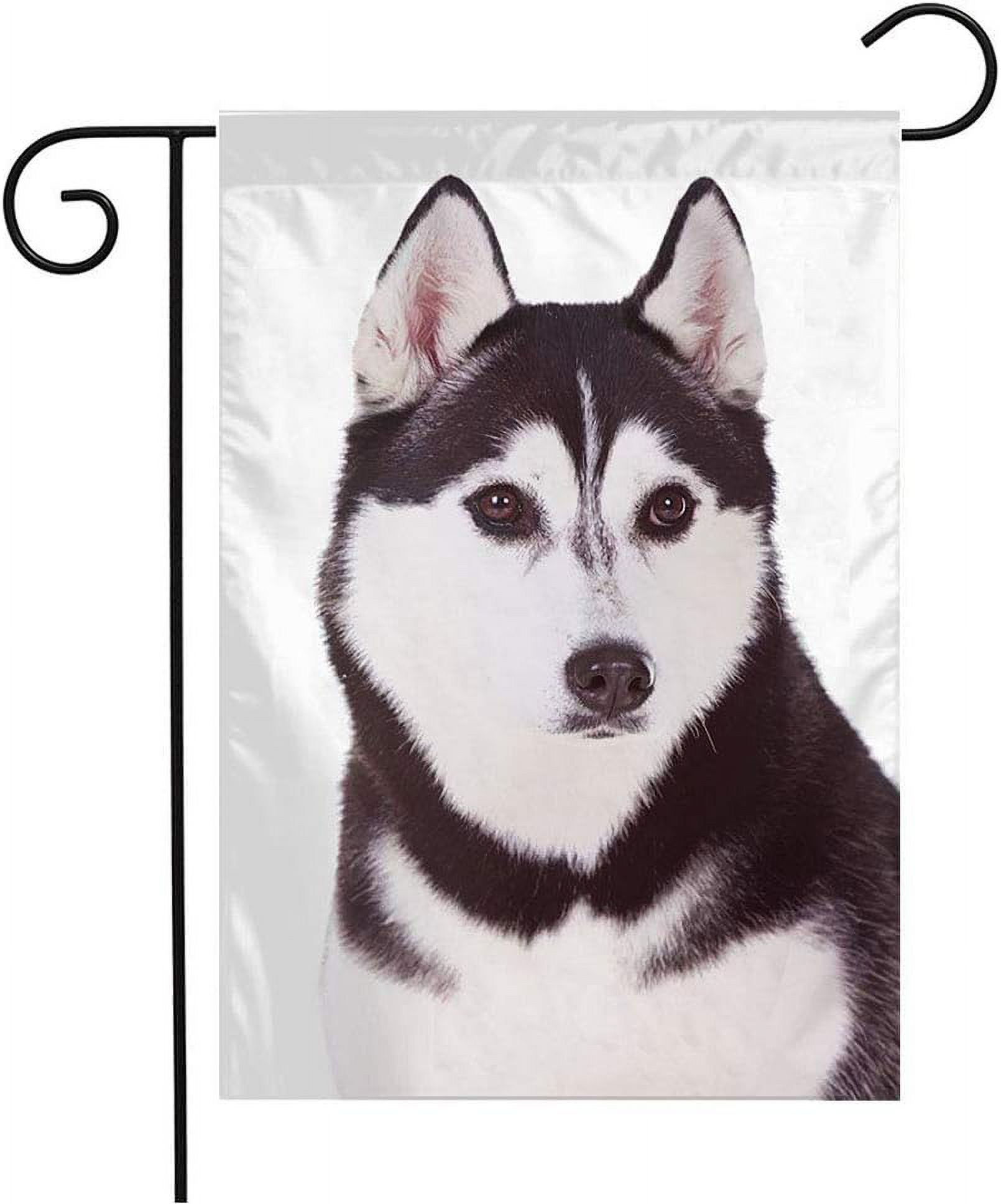Welcome Garden Flag Vertical Siberian Adorable Isolated Husky Obedience ...