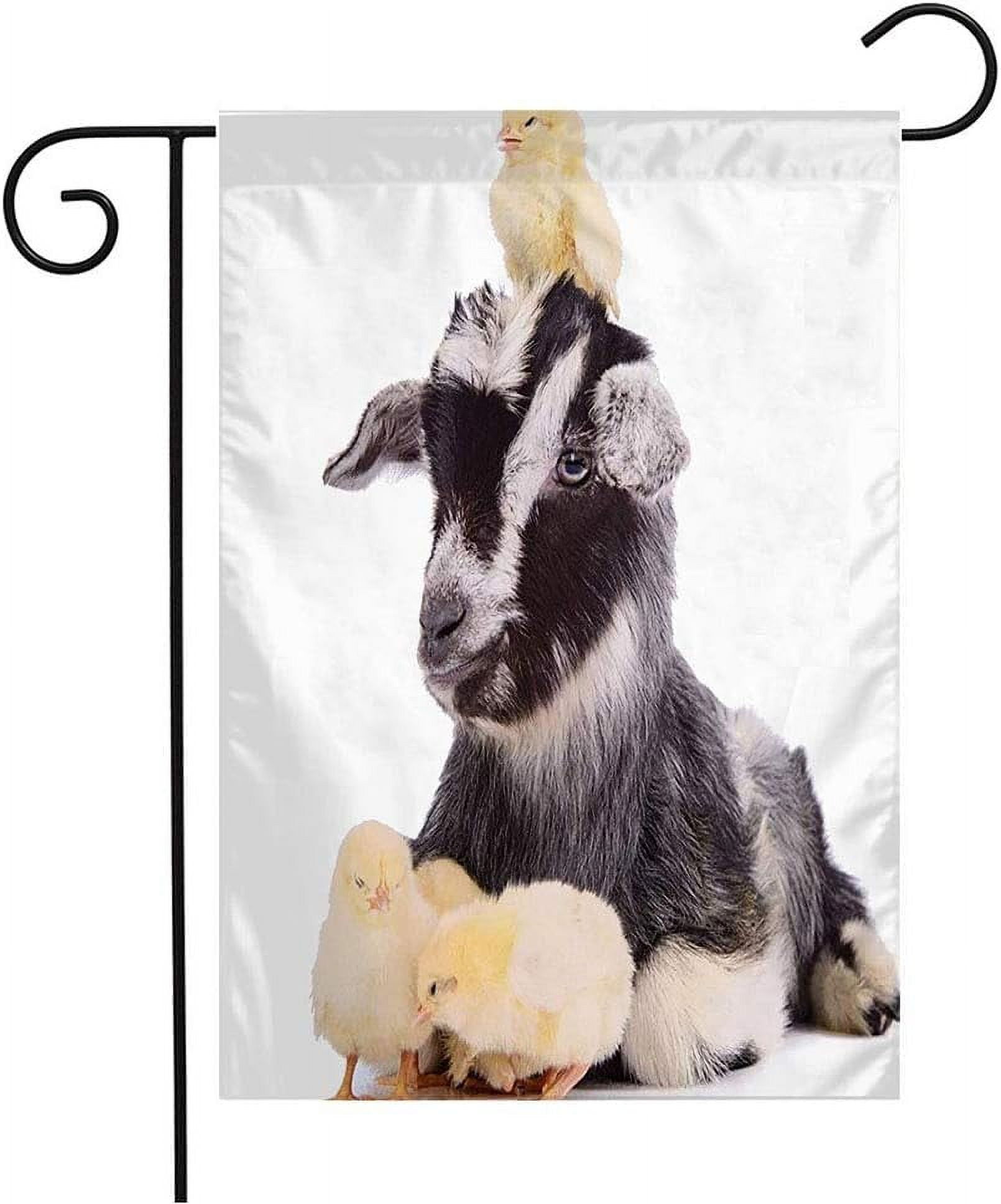 Welcome Garden Flag Yellow Baby Newborn Goat Chickens Farm Animals ...