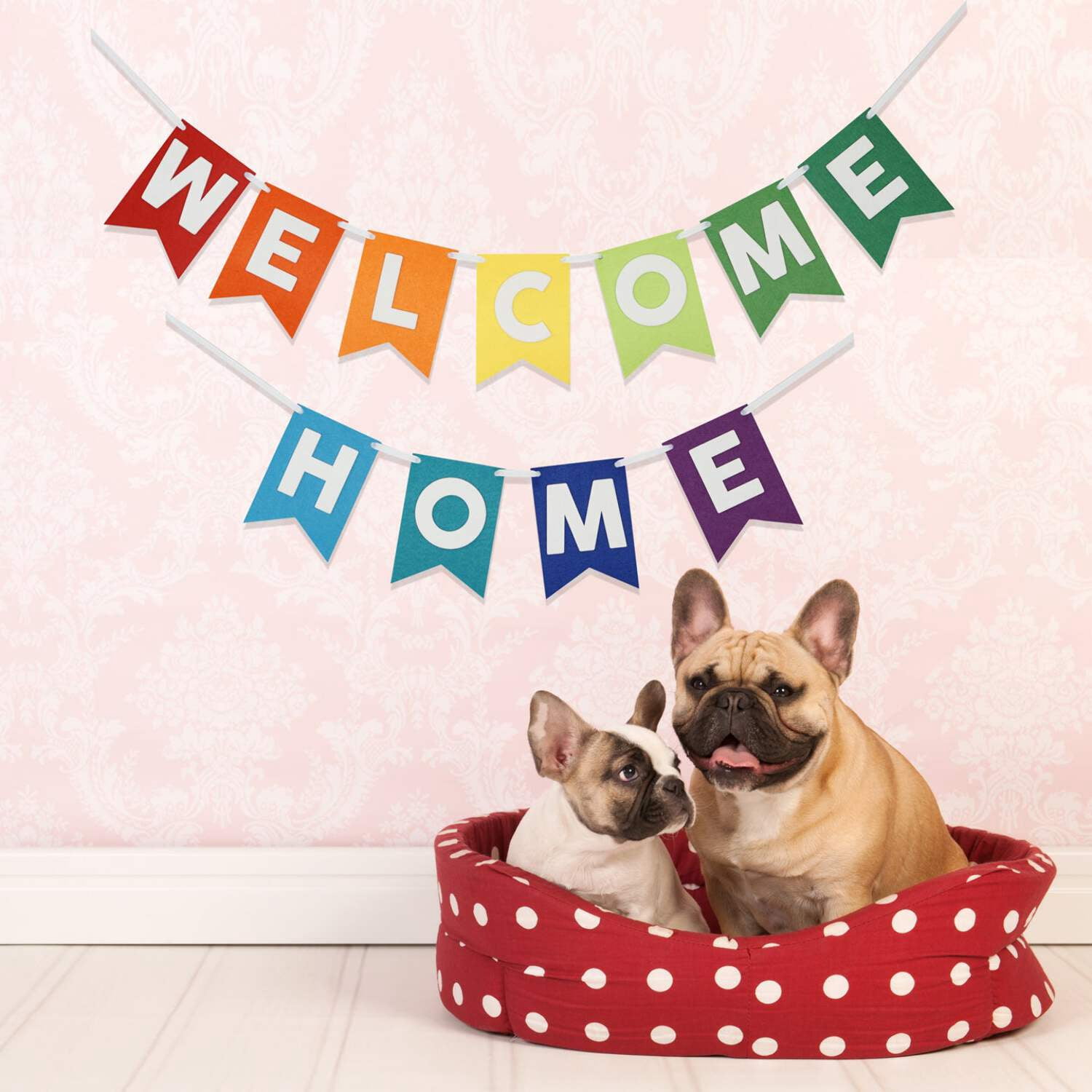 Welcome Home Rainbow Colors - Walmart.com