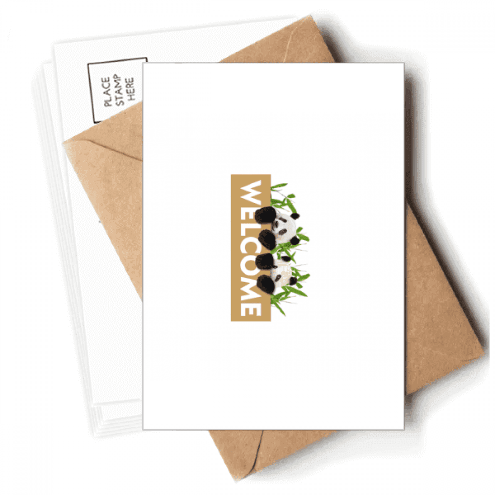 Welcome Panda Host Show Art Deco Fashion Postcards Envelopes Blank Note ...