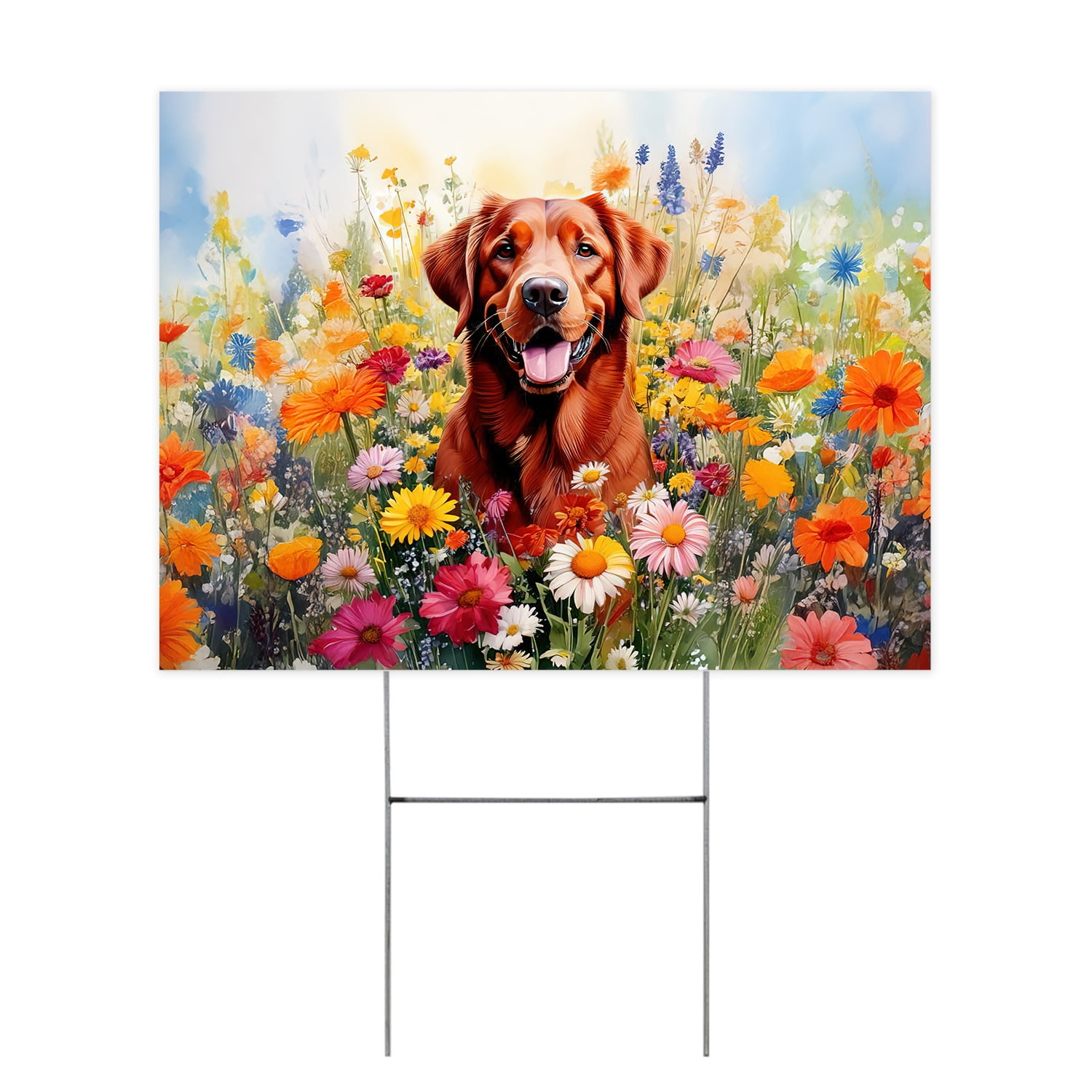 Welcome Spring Summer Chesapeake Bay Retriever Portrait Flower Blue Sky ...