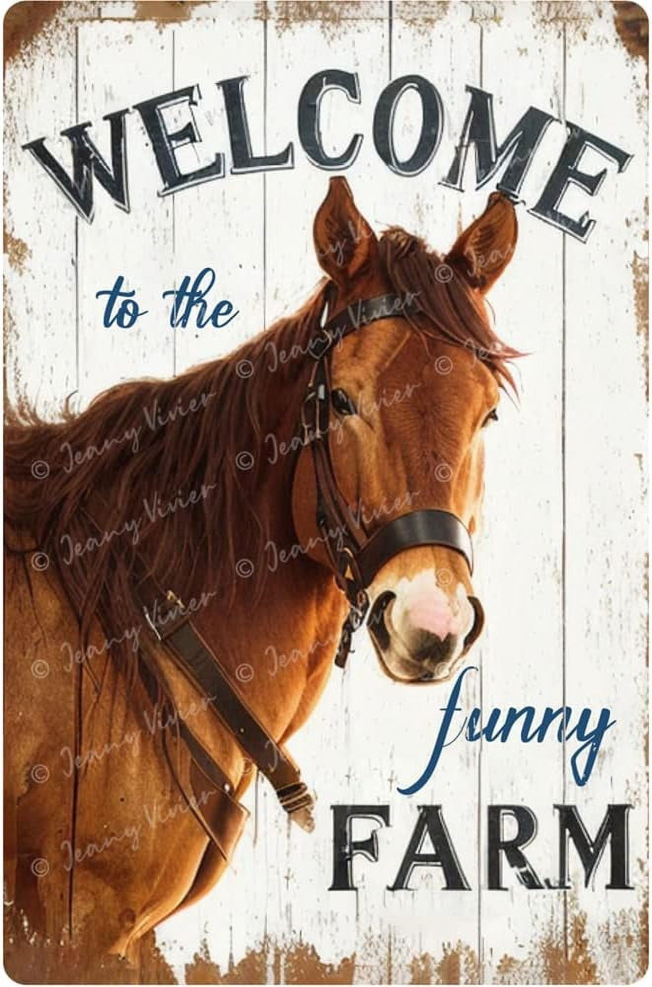 Welcome to The Funny Farm Horse Sign, Horse Lover Gifts For Women ...