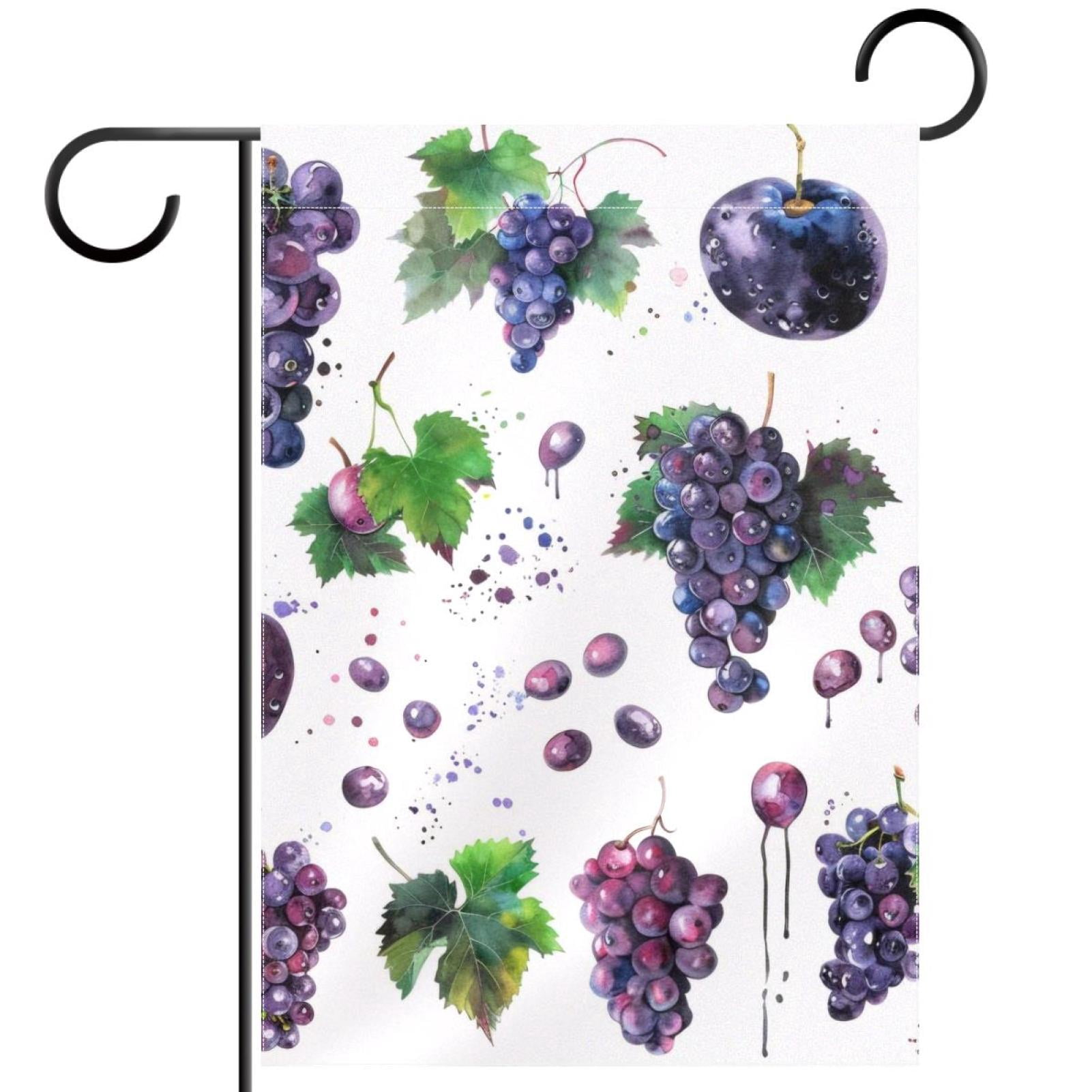 Welcome Watercolor Collection of Bunches of Grapes with Leaves Garden ...
