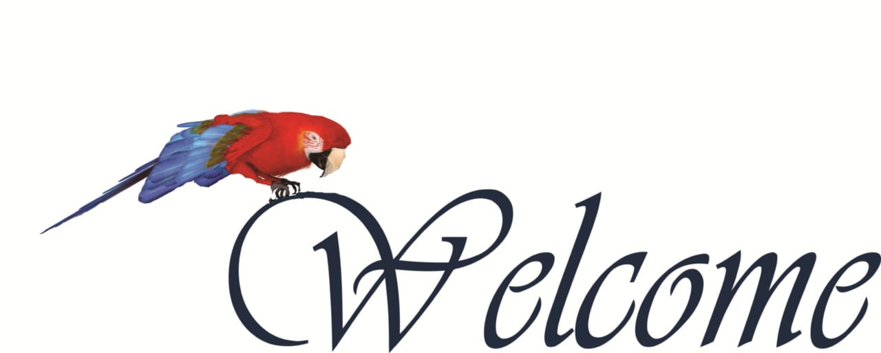 Welcome sign with a Parrot Office Wall – Home décor Sticker Vinyl Wall ...