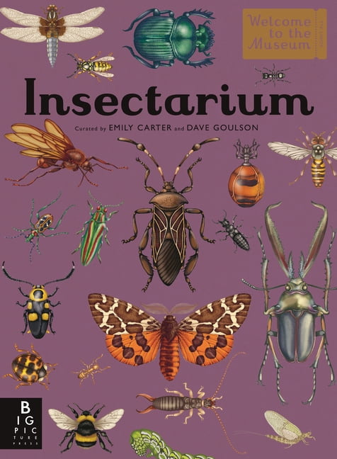 Welcome to the Museum Insectarium: Welcome to the Museum, (Hardcover ...