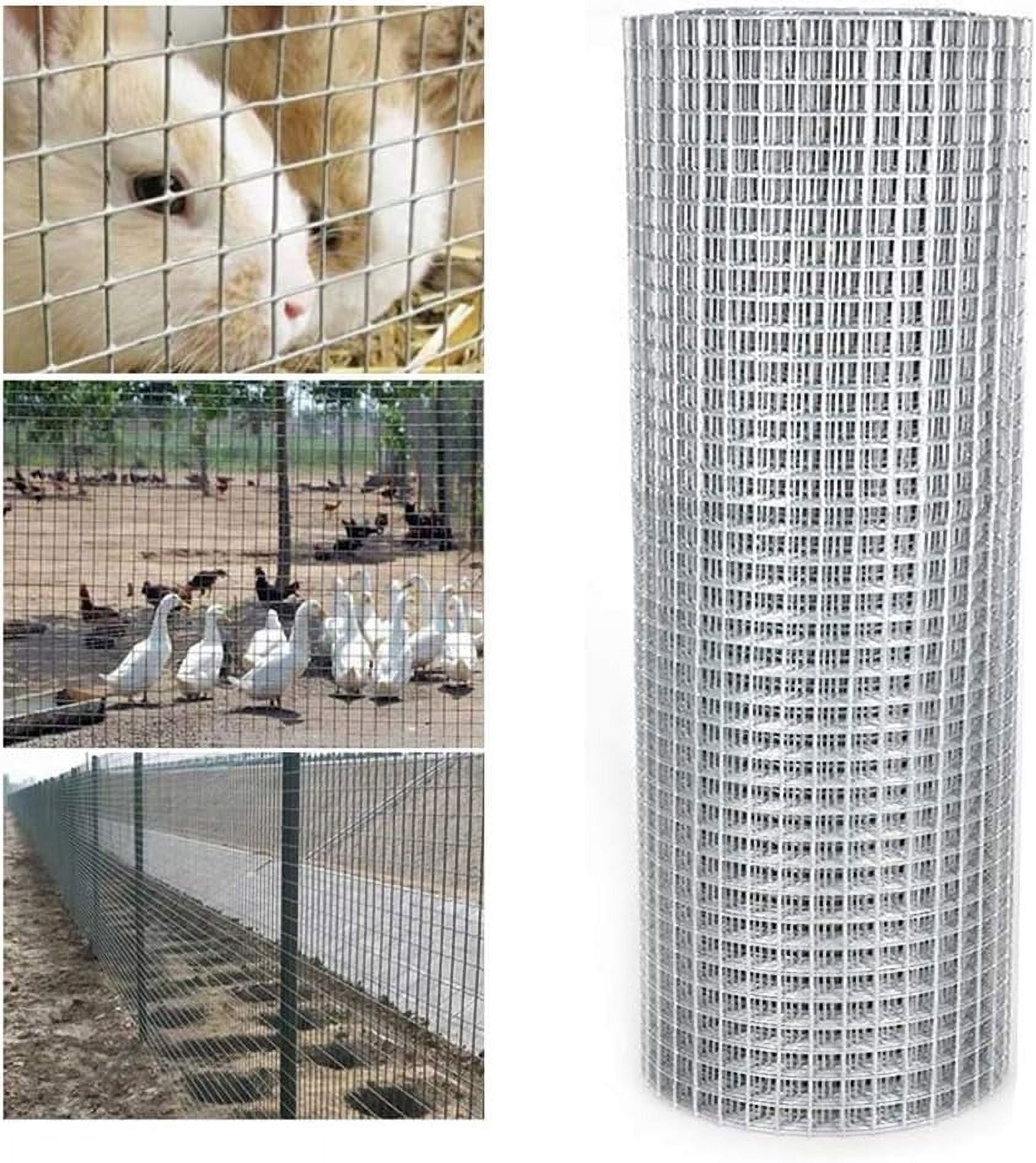 Welded Wire Mesh, Stainless Steel Garden Fencing Roll, Multipurpose ...