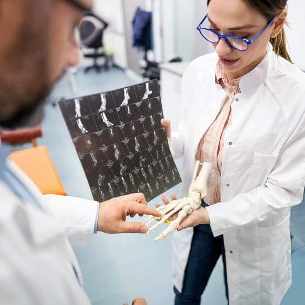 Wellden Anatomical Foot Demonstration Model, Elastic, Flexible, Life ...