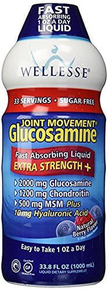 Wellesse Joint Movement Glucosamine With Chondroitin & Msm 3Pack (33.8 ...