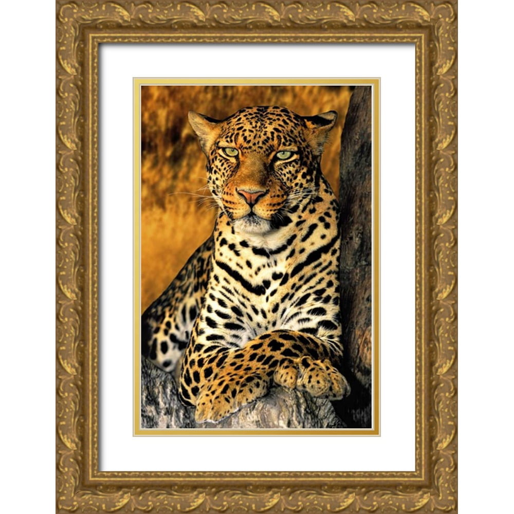 Welling, Dave 11x14 Gold Ornate Wood Framed with Double Matting Museum ...