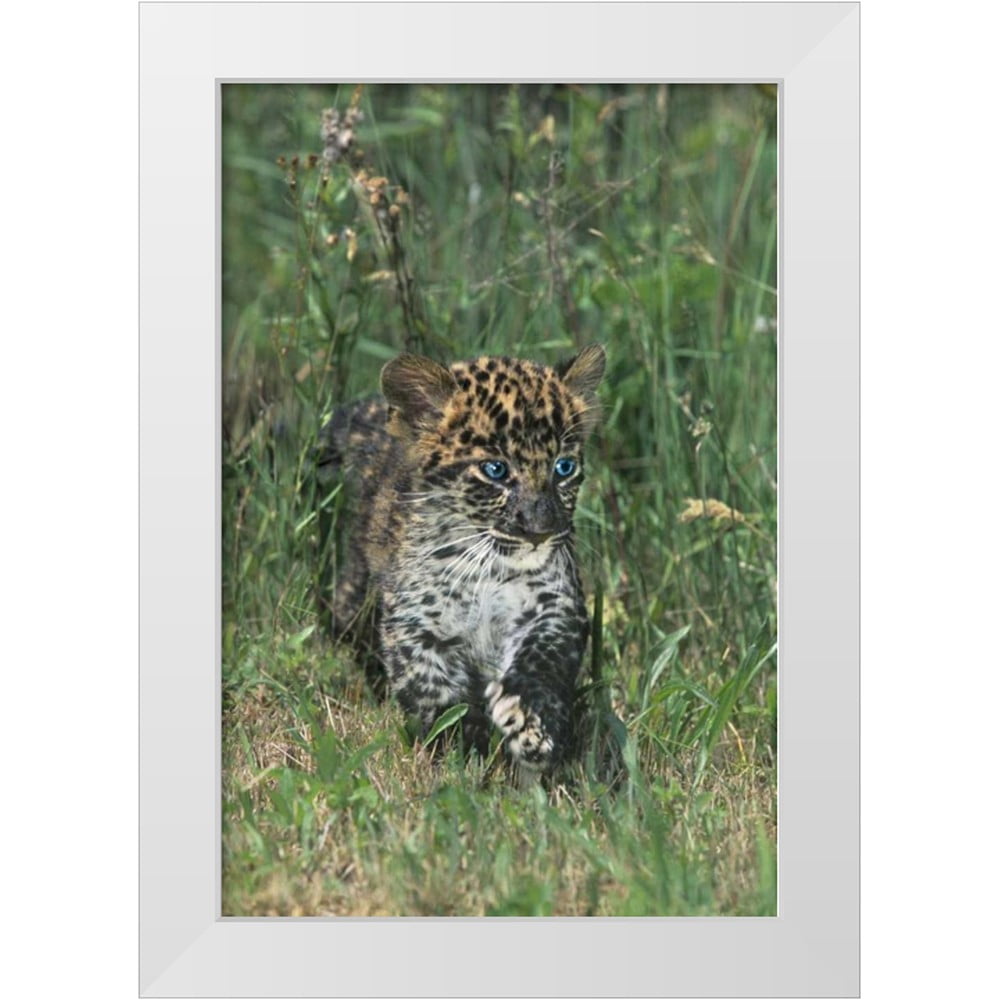 Welling, Dave 11x14 White Modern Wood Framed Museum Art Print Titled ...