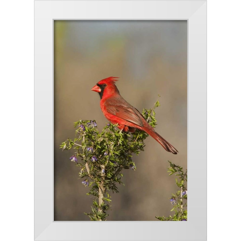 Welling, Dave 11x14 White Modern Wood Framed Museum Art Print Titled ...