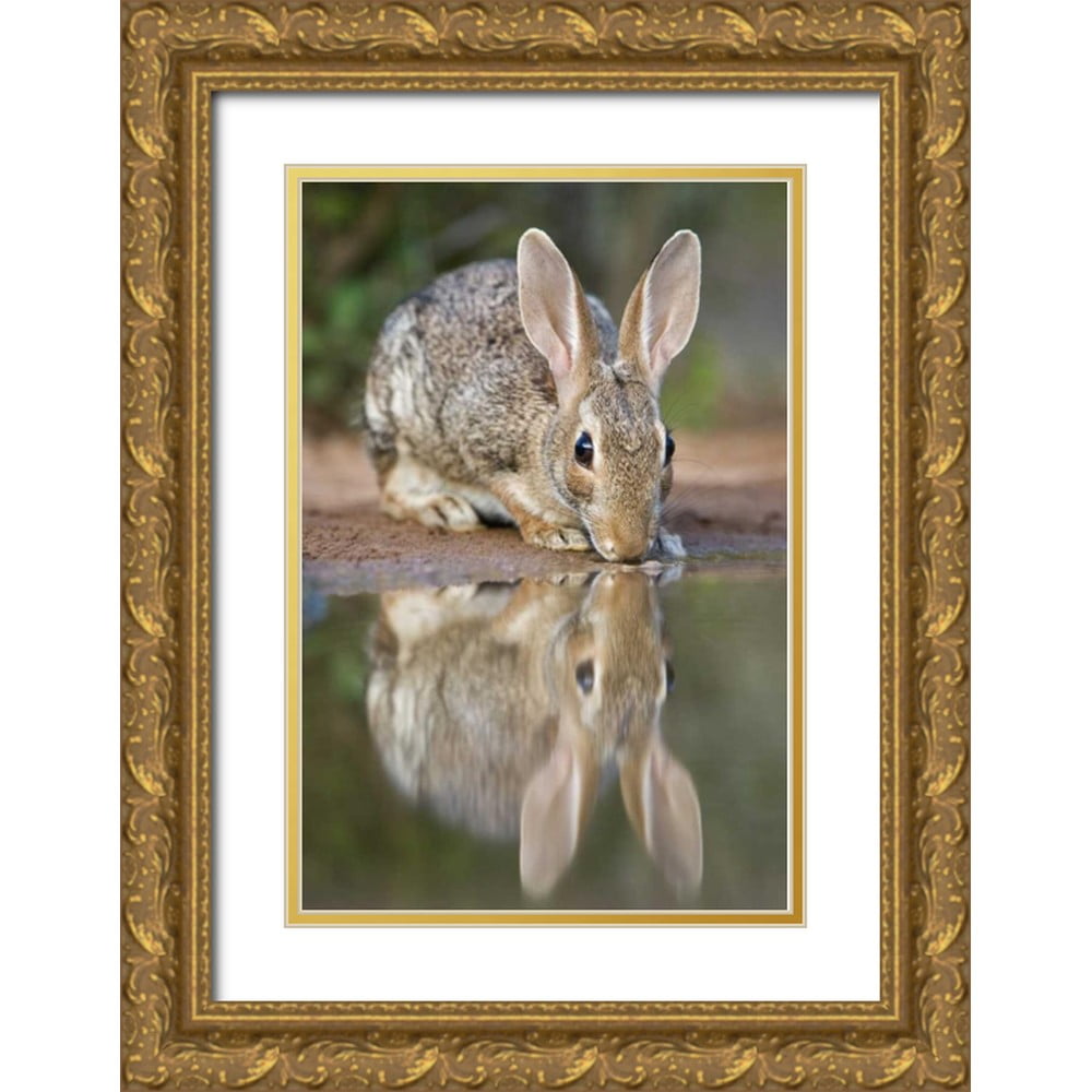 Welling, Dave 13x18 Gold Ornate Wood Framed with Double Matting Museum ...