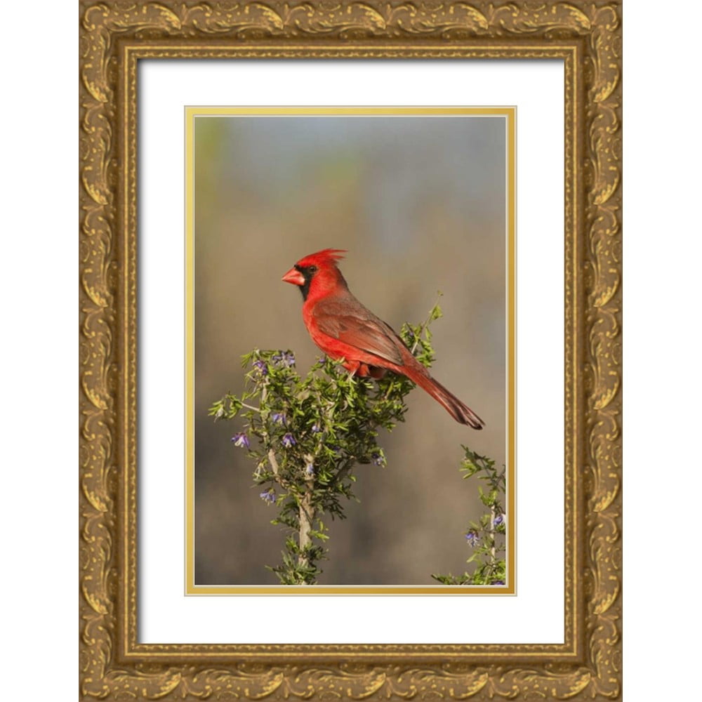 Welling, Dave 13x18 Gold Ornate Wood Framed with Double Matting Museum ...