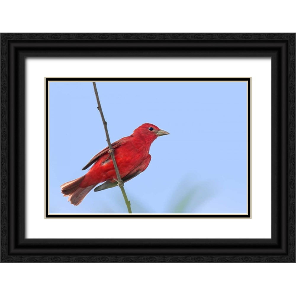 Welling, Dave 14x11 Black Ornate Wood Framed with Double Matting Museum ...