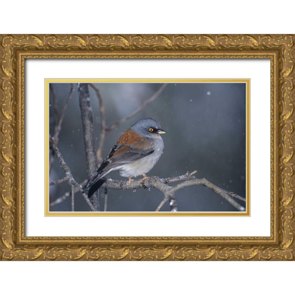 Welling, Dave 14x11 Gold Ornate Wood Framed with Double Matting Museum ...