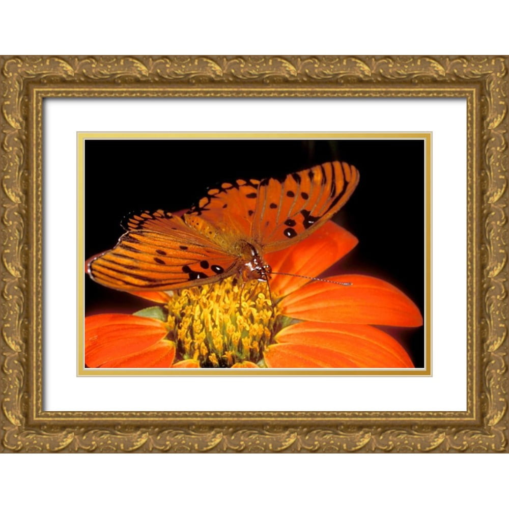 Welling, Dave 14x11 Gold Ornate Wood Framed with Double Matting Museum ...