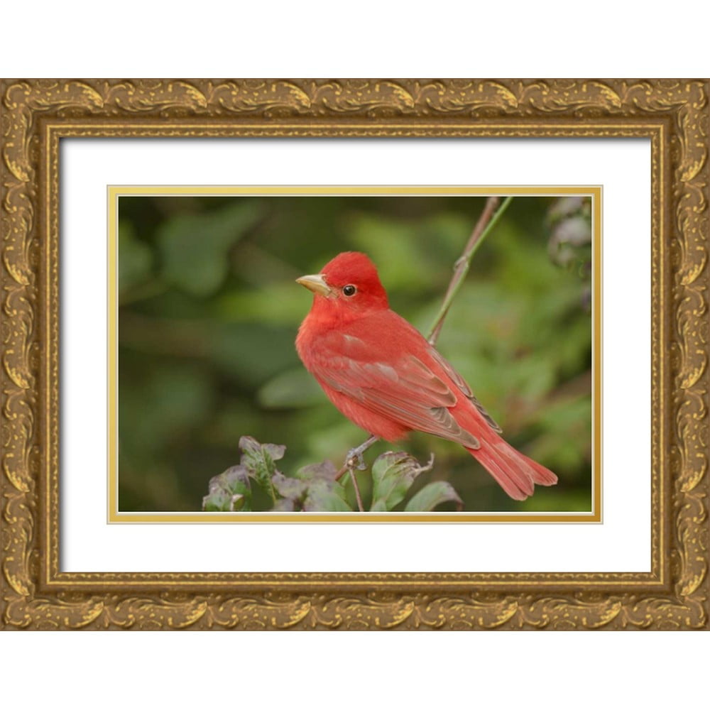 Welling, Dave 14x11 Gold Ornate Wood Framed with Double Matting Museum ...