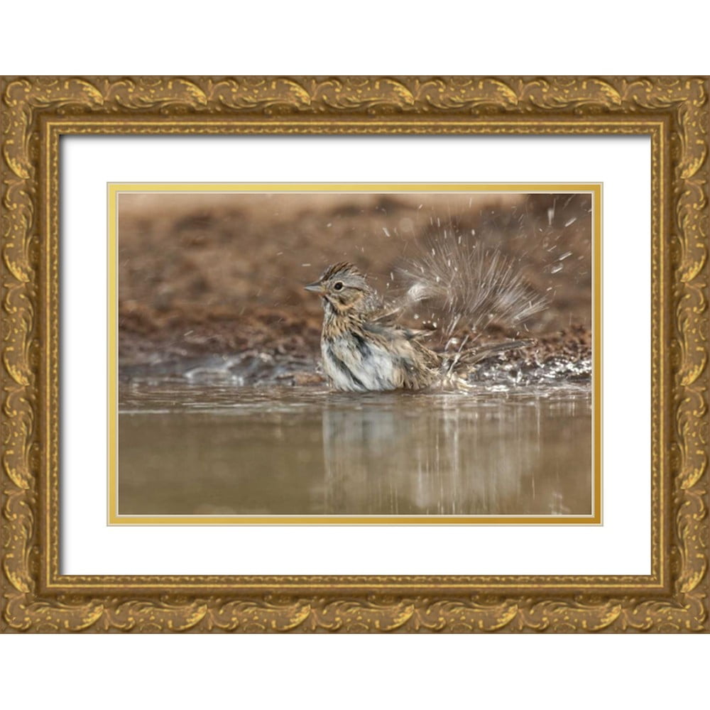 Welling, Dave 14x11 Gold Ornate Wood Framed with Double Matting Museum ...