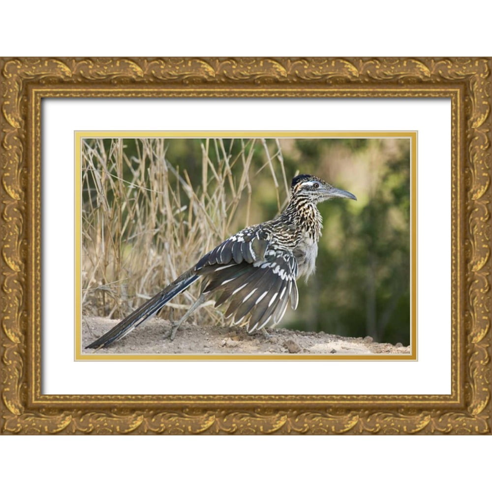 Welling, Dave 14x11 Gold Ornate Wood Framed with Double Matting Museum ...