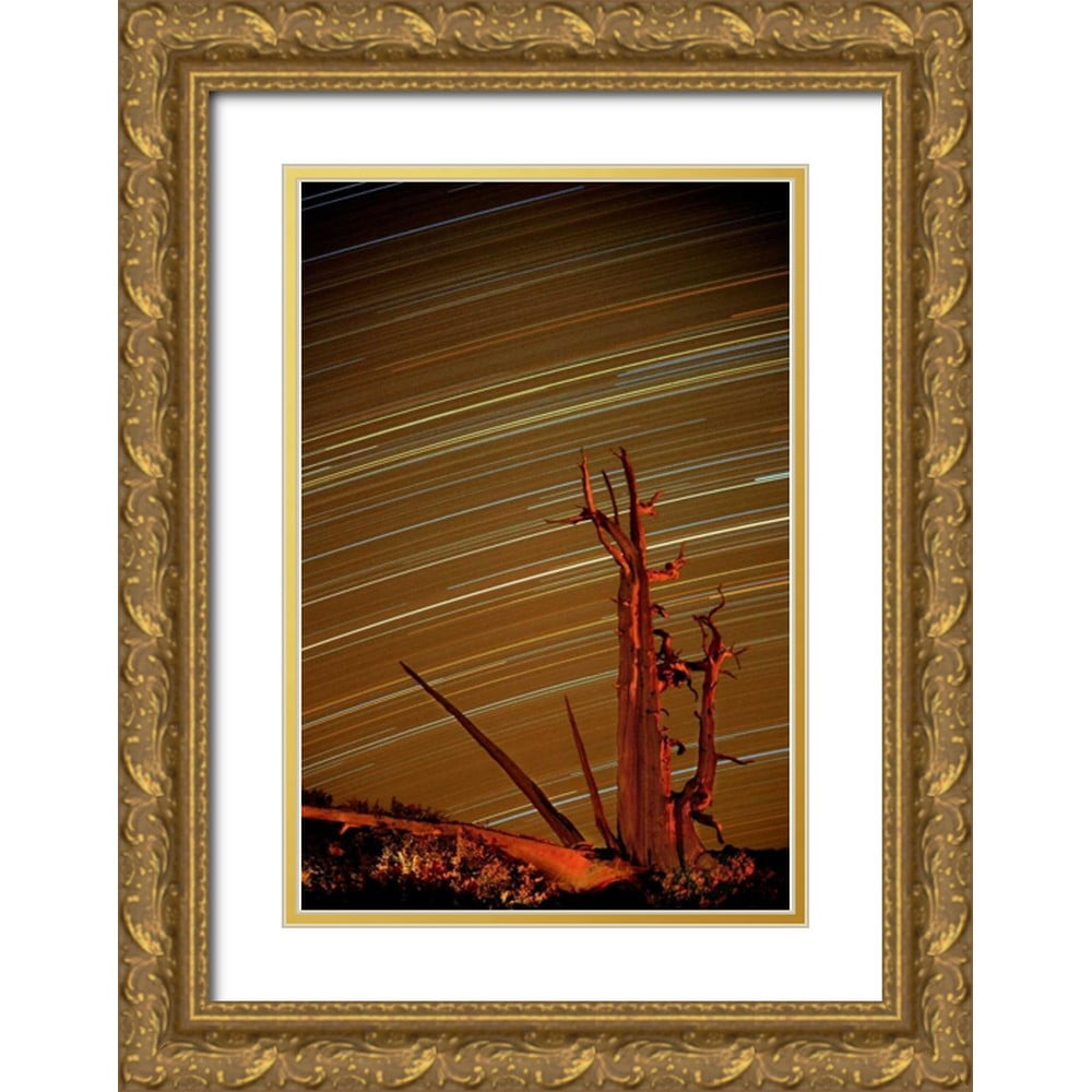 Welling, Dave 17x24 Gold Ornate Wood Framed with Double Matting Museum ...