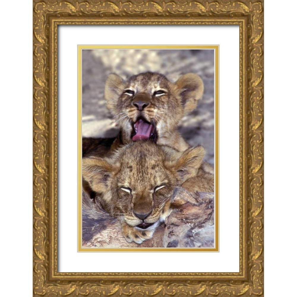 Welling, Dave 17x24 Gold Ornate Wood Framed with Double Matting Museum ...