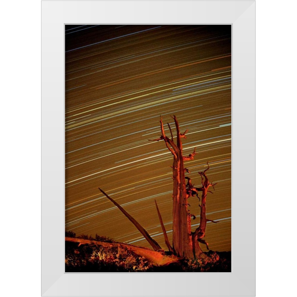 Welling, Dave 17x24 White Modern Wood Framed Museum Art Print Titled ...