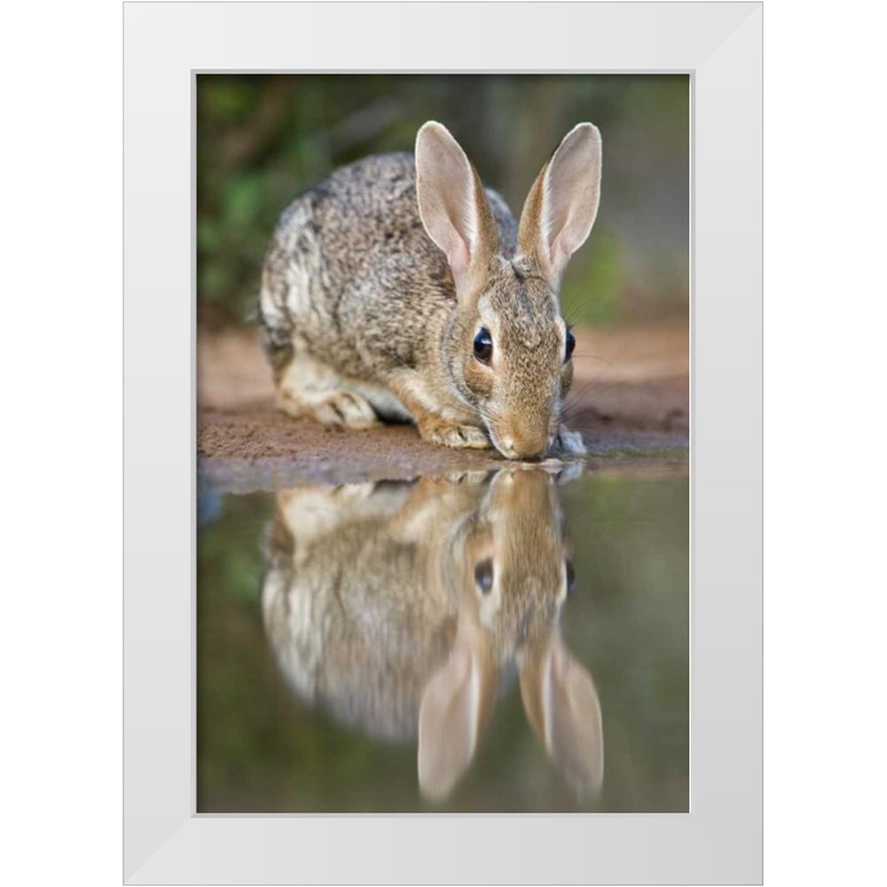 Welling, Dave 17x24 White Modern Wood Framed Museum Art Print Titled ...