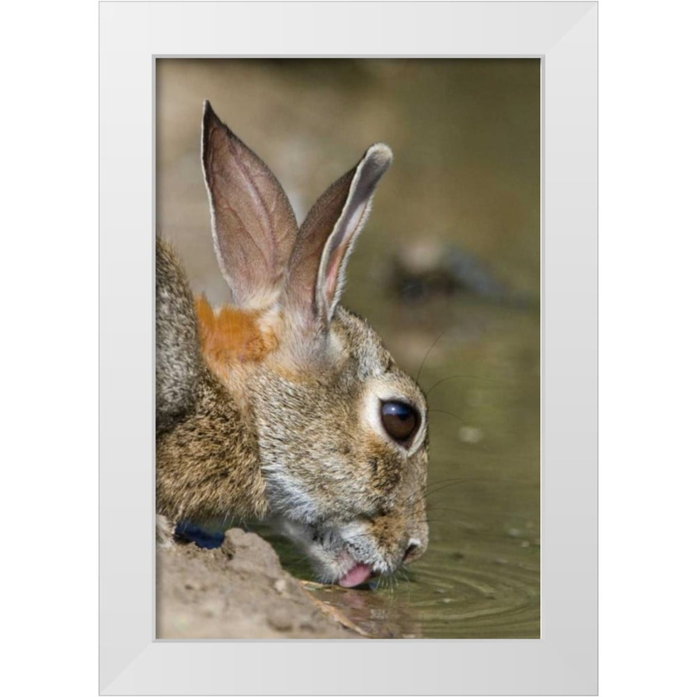 Welling, Dave 17x24 White Modern Wood Framed Museum Art Print Titled ...