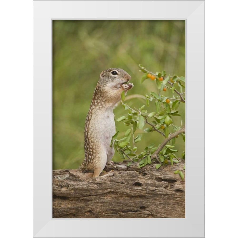 Welling, Dave 17x24 White Modern Wood Framed Museum Art Print Titled ...