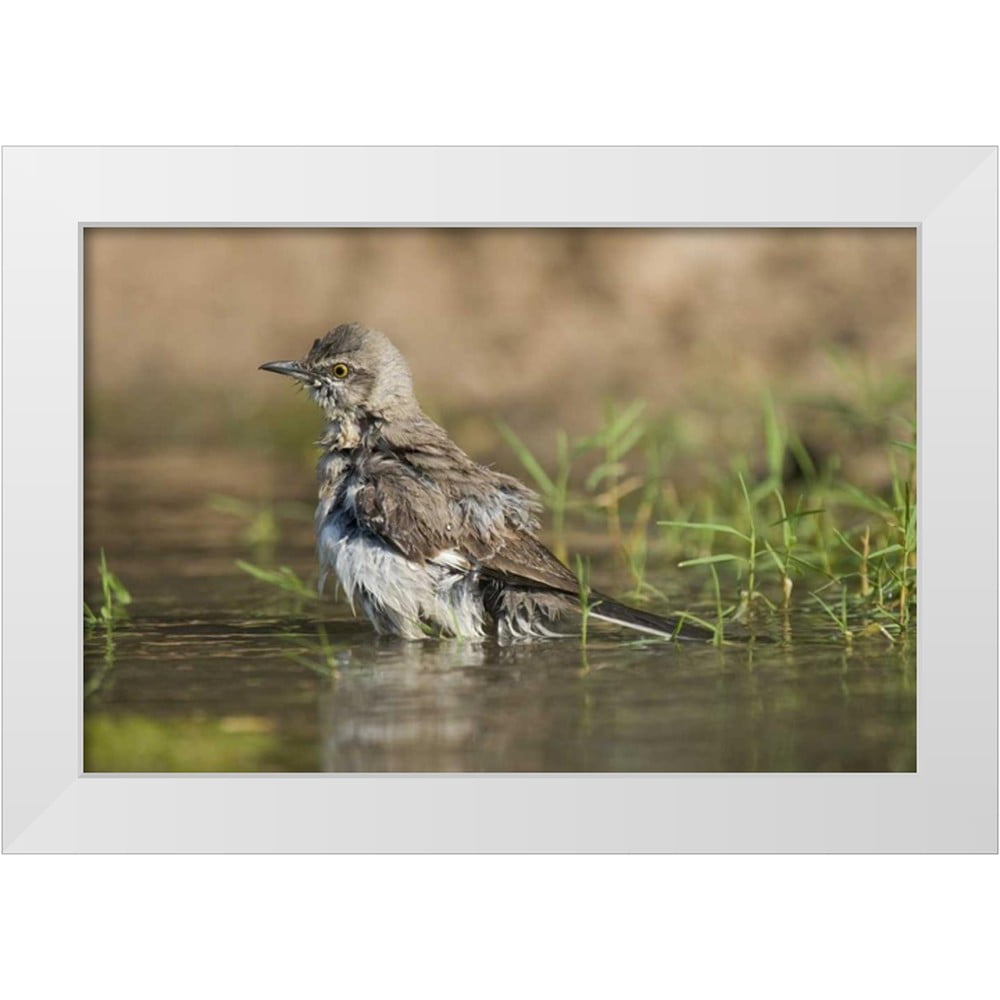 Welling, Dave 18x13 White Modern Wood Framed Museum Art Print Titled ...